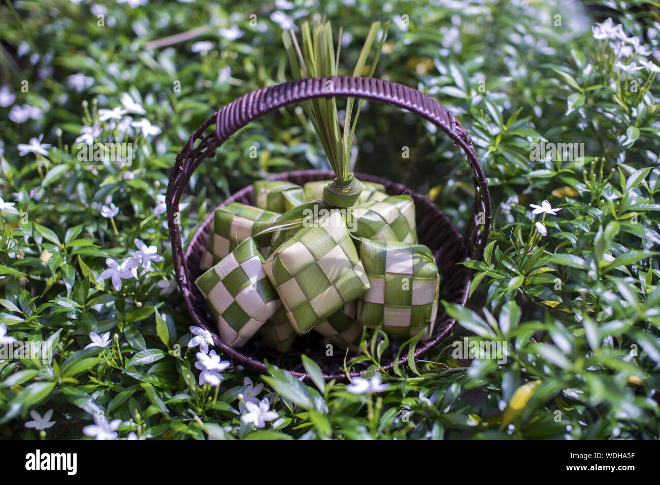 Coconut leaf baskets hi-res stock photography and images - Alamy