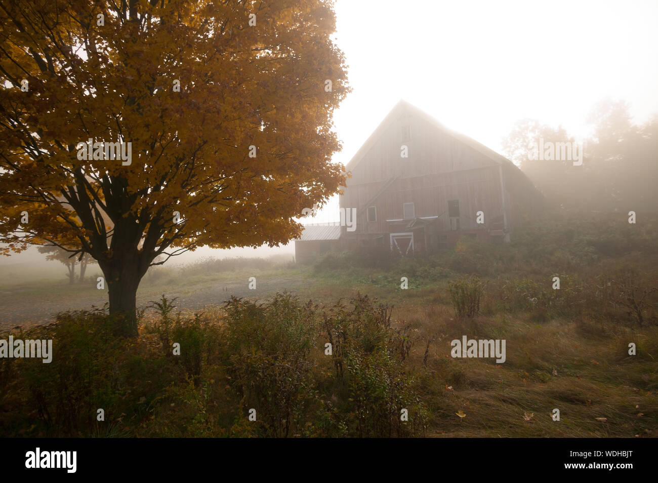 Old red barn in the distant fog, Stowe, Vermont, USA Stock Photo - Alamy