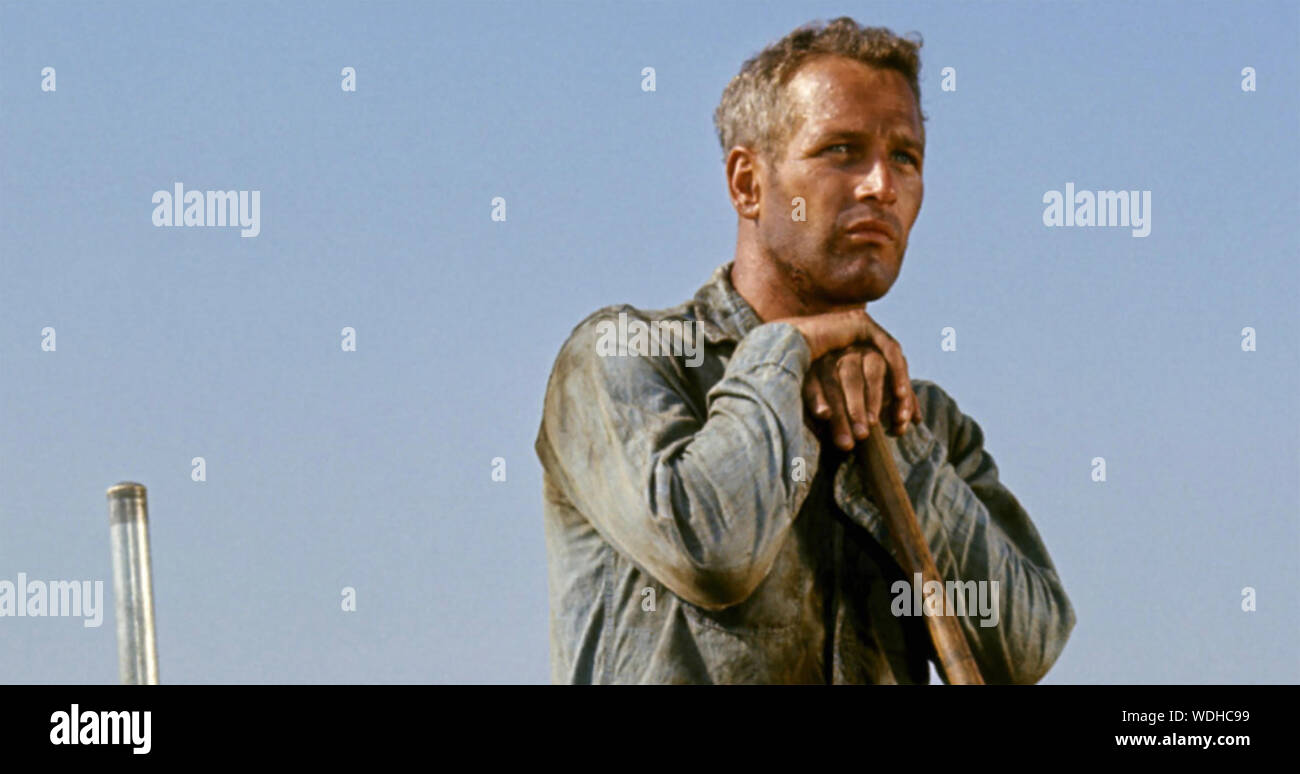 Cool Hand Luke Wallpaper