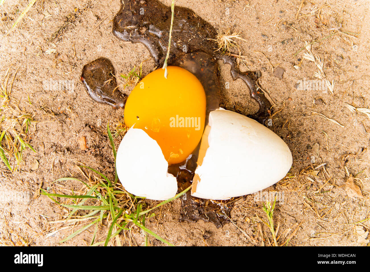 Broken fallen egg on the ground. Background Stock Photo - Alamy