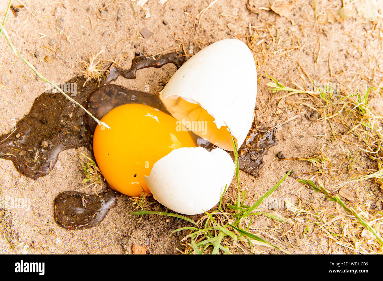 Broken fallen egg on the ground. Background Stock Photo - Alamy