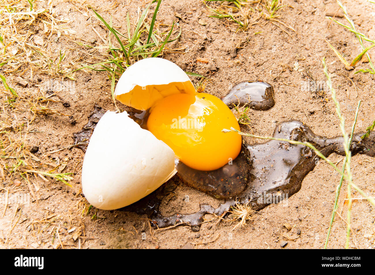 Broken fallen egg on the ground. Background Stock Photo - Alamy