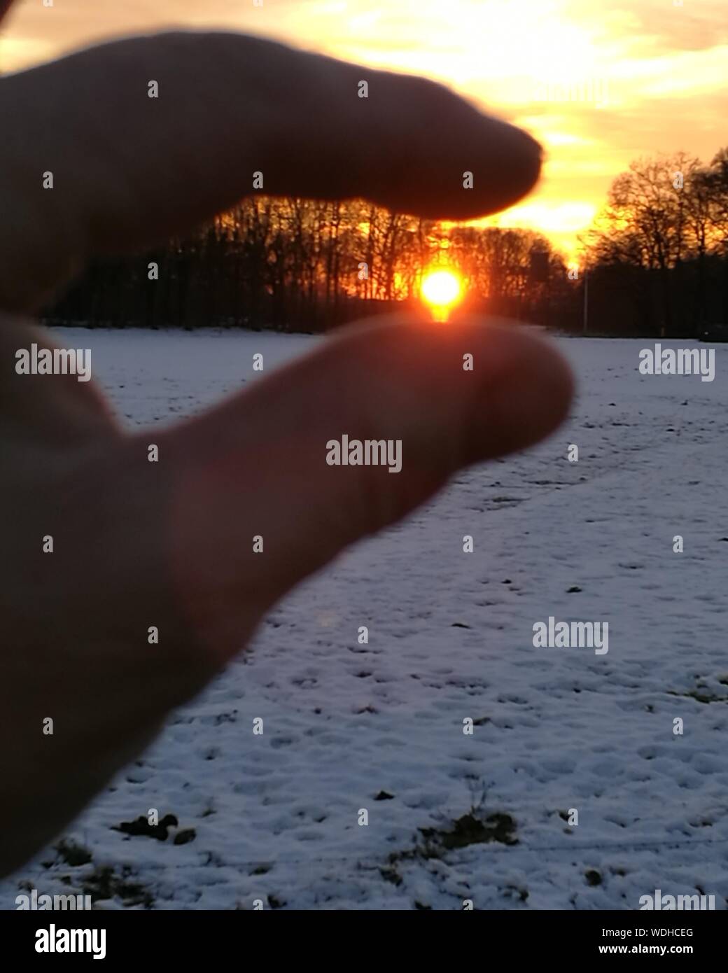 Hand at sunset hi-res stock photography and images - Alamy
