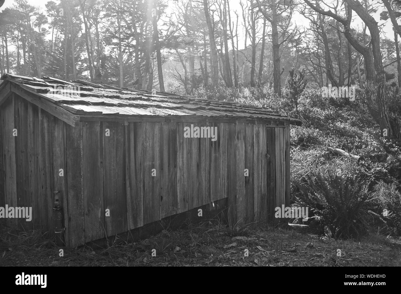 Wooden hut forest hi-res stock photography and images - Alamy