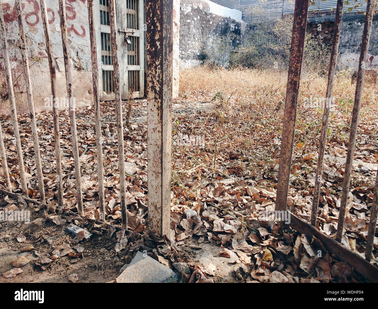 Rusty old gate hi-res stock photography and images - Alamy
