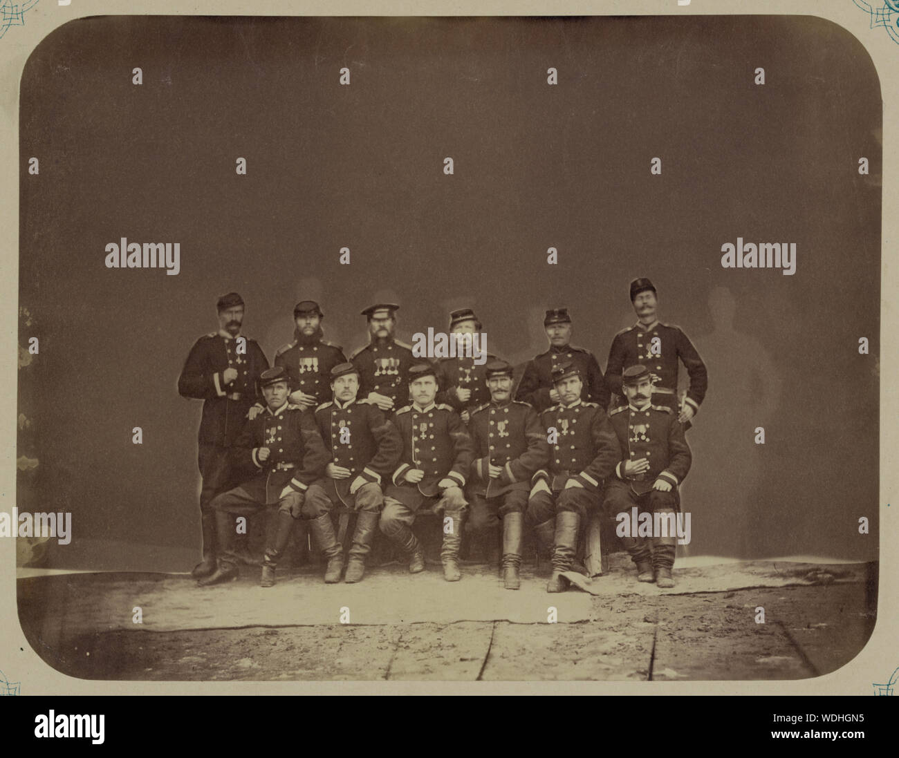 Sap rot hi-res stock photography and images - Alamy