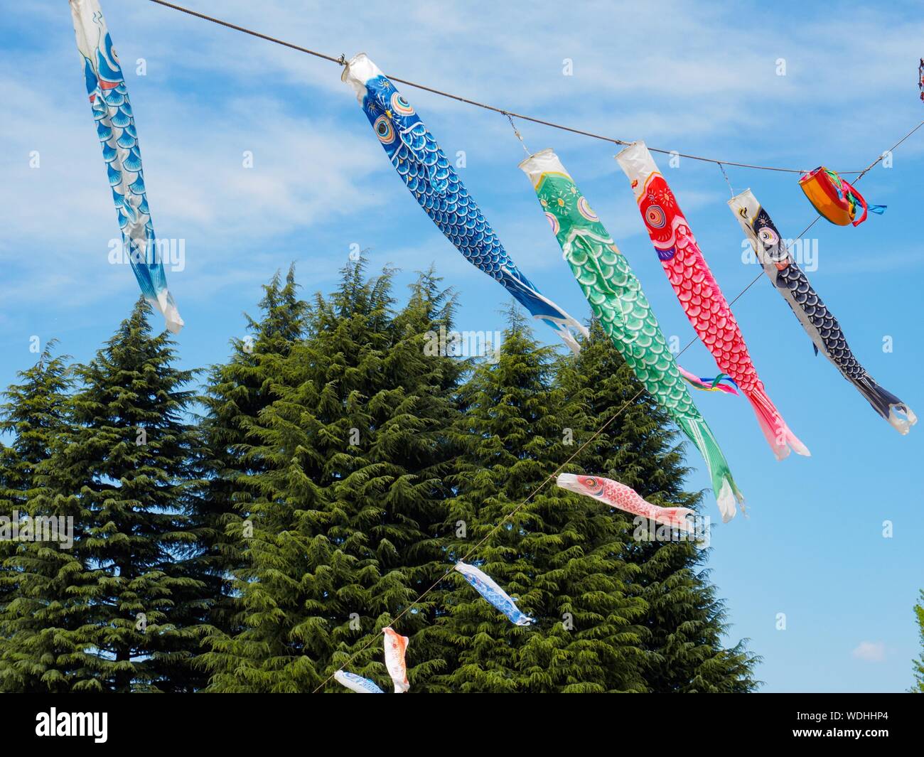 Festival Windsocks High Resolution Stock Photography and Images - Alamy