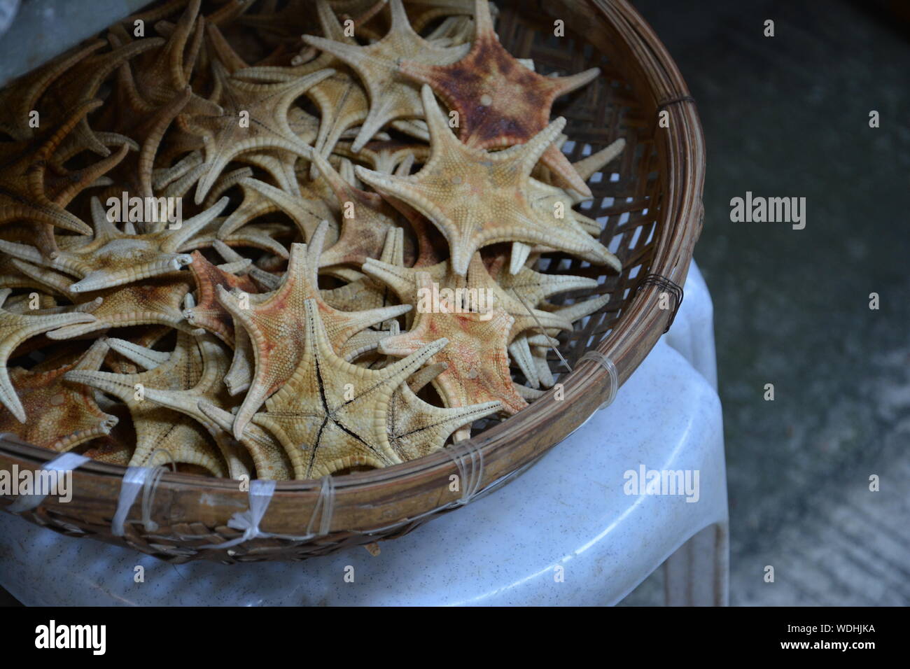 Dried Starfish High Resolution Stock Photography and Images - Alamy