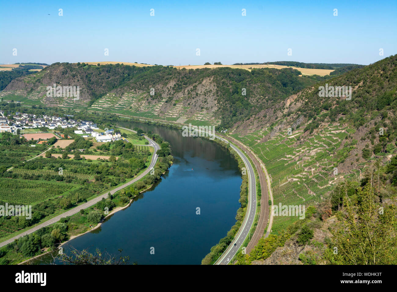 Landscape view on Mosel river valley and green terraced vineyards ...