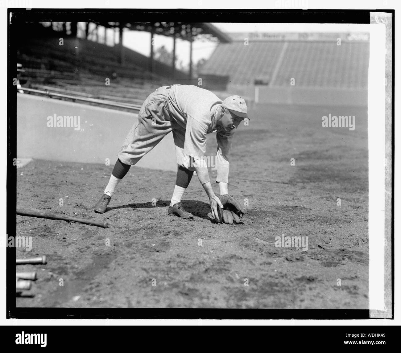 Gerber company hi-res stock photography and images - Alamy