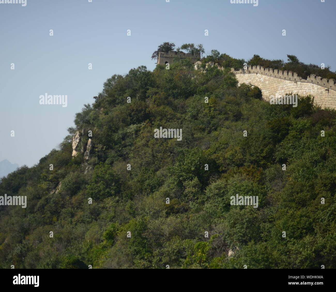 China green great wall trees hi-res stock photography and images - Alamy