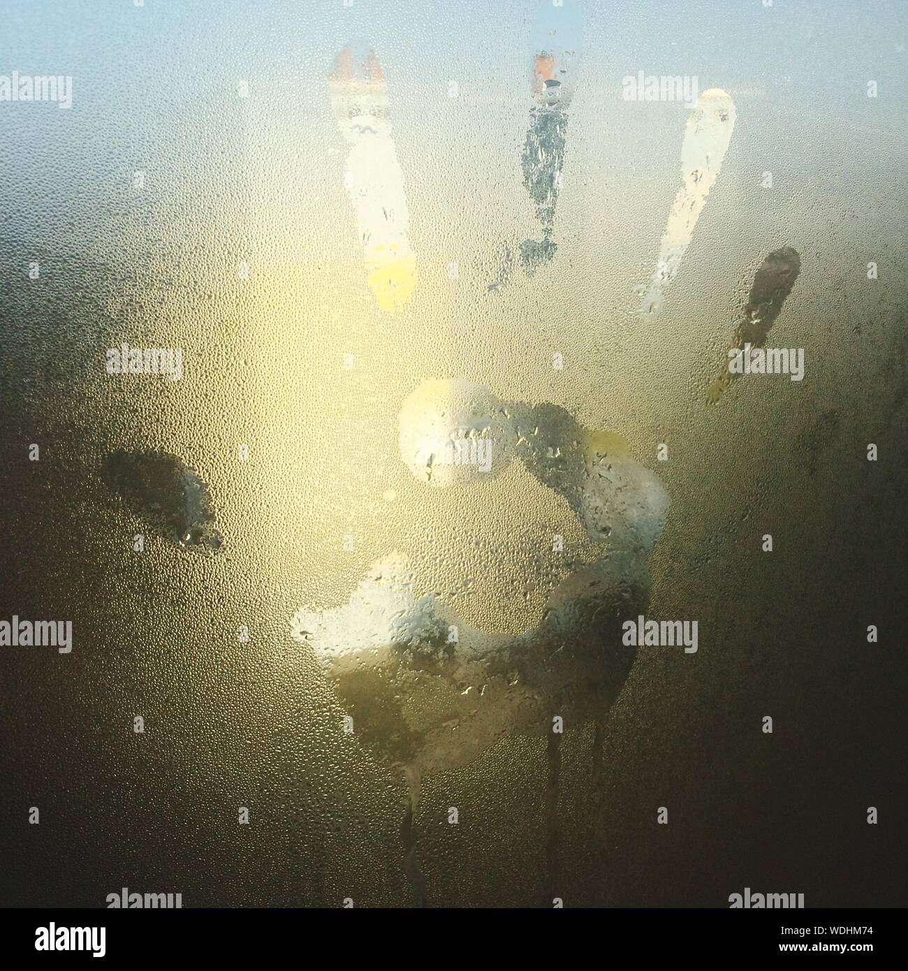 Handprint on glass hi-res stock photography and images - Alamy