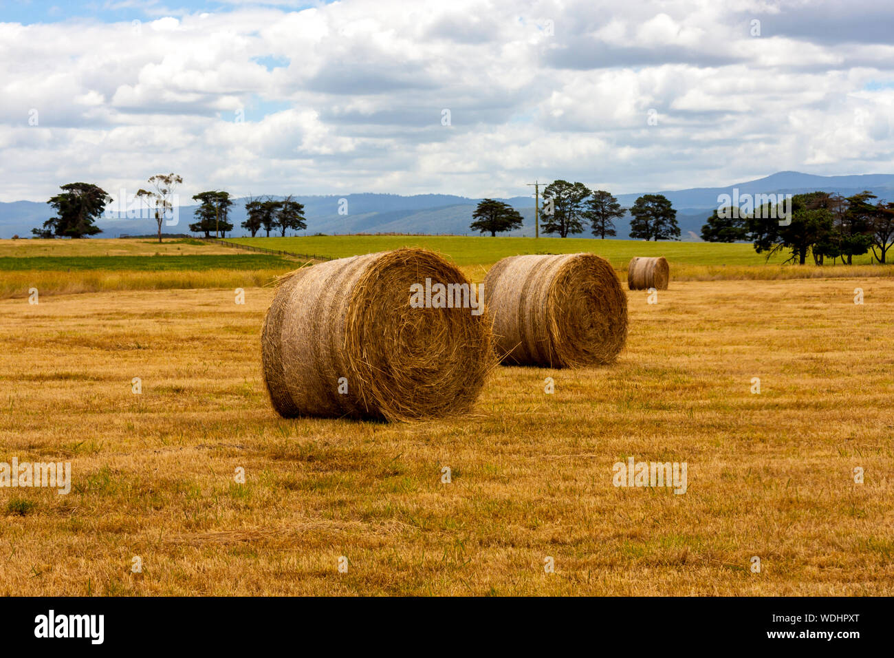 Rolls of haystacks on the field hi-res stock photography and images - Alamy