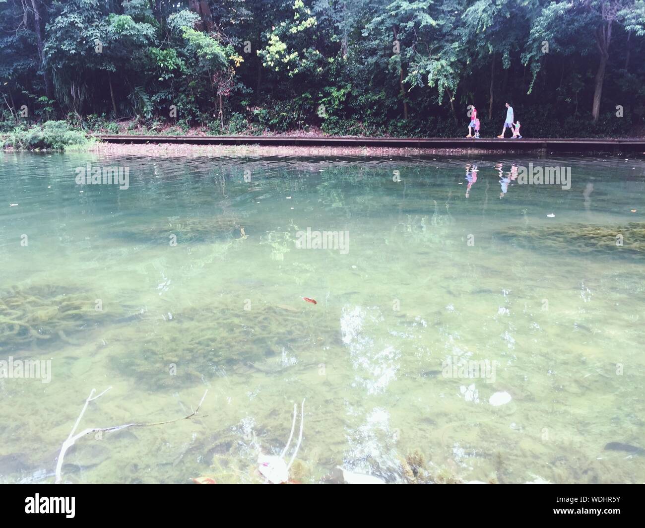 Walking track children hi-res stock photography and images - Alamy