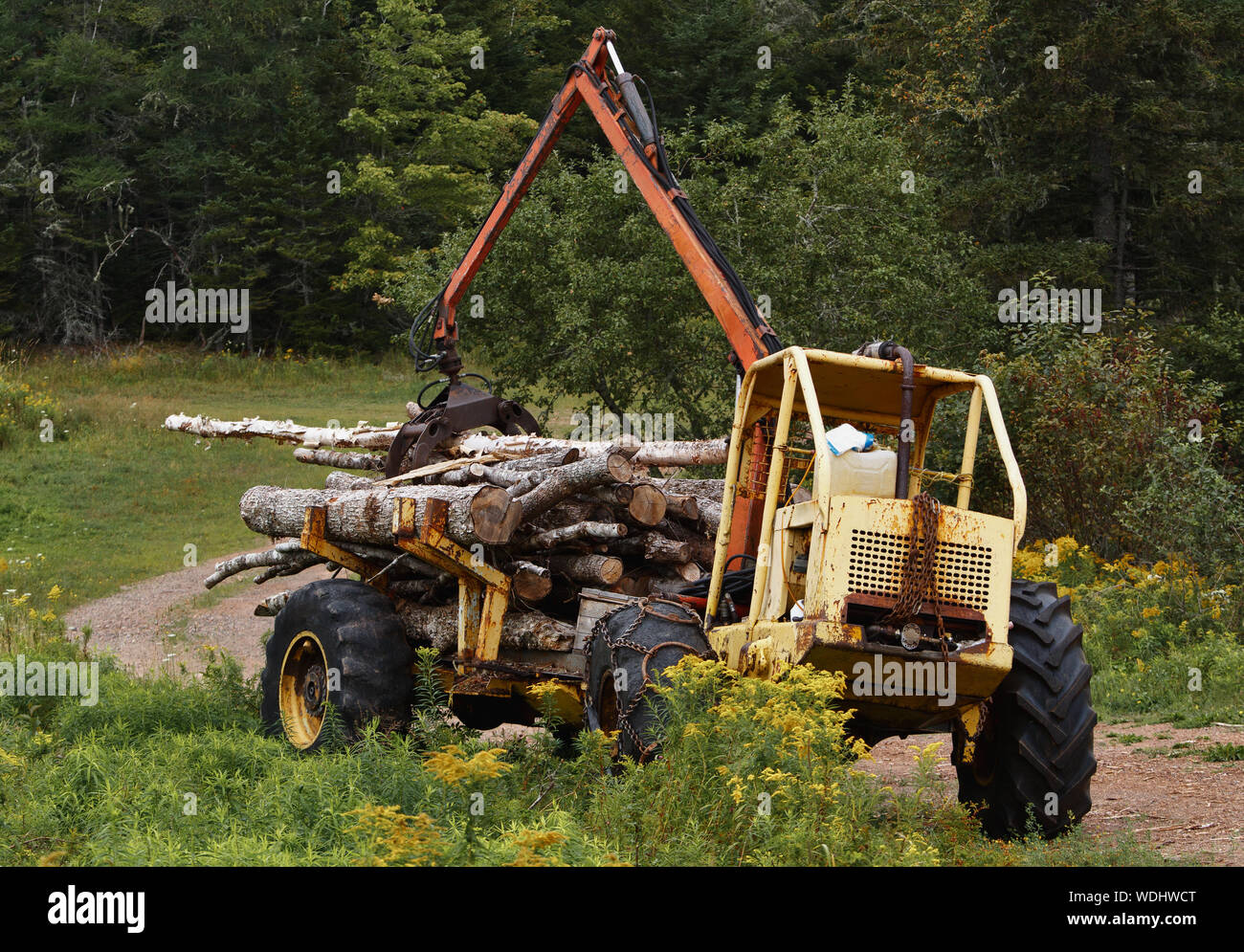 Logging forwarder on dirt road Stock Photo - Alamy Logging forwarder on dirt road Stock Photo - Alamy