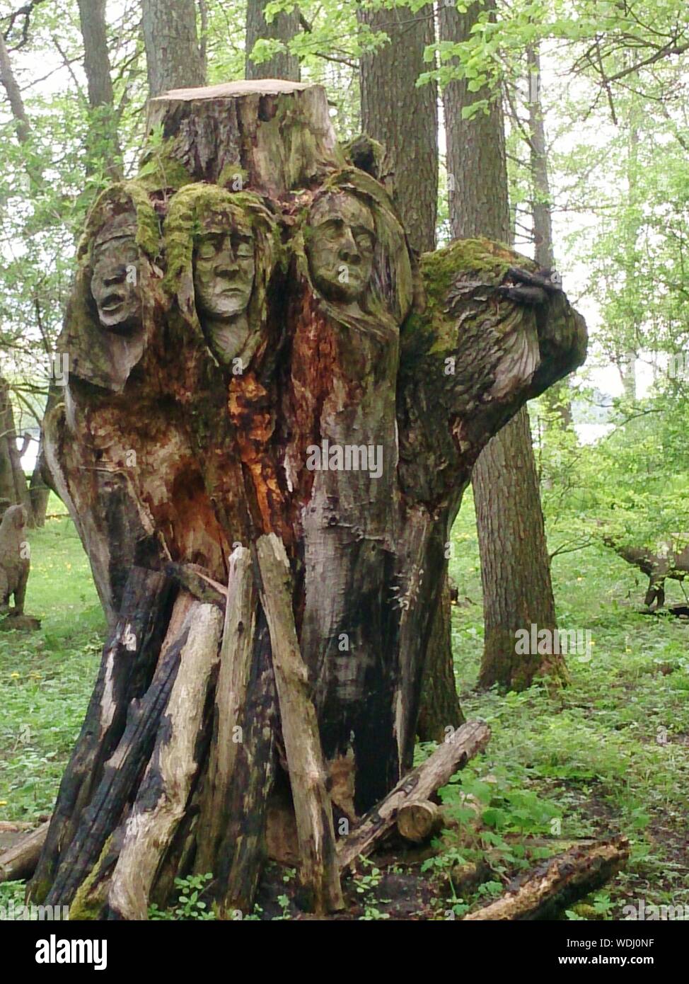 Human tree park hi-res stock photography and images - Alamy