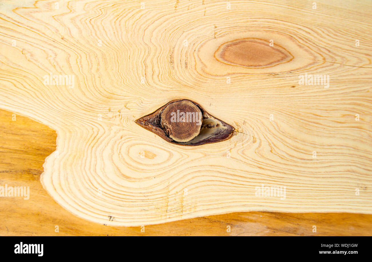 The texture of the longitudinal section of the tree. Background Stock ...