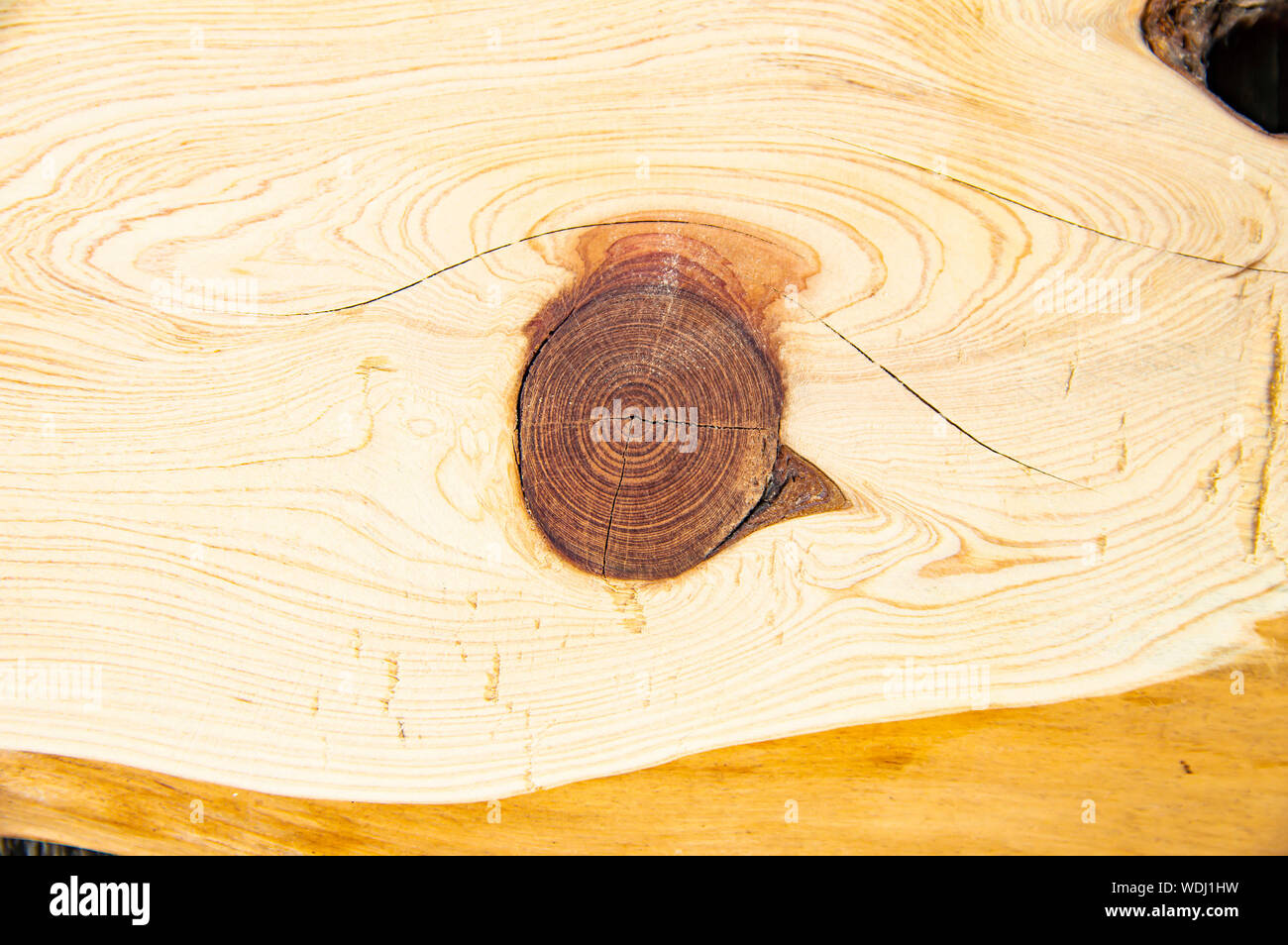 The texture of the longitudinal section of the tree. Background Stock ...