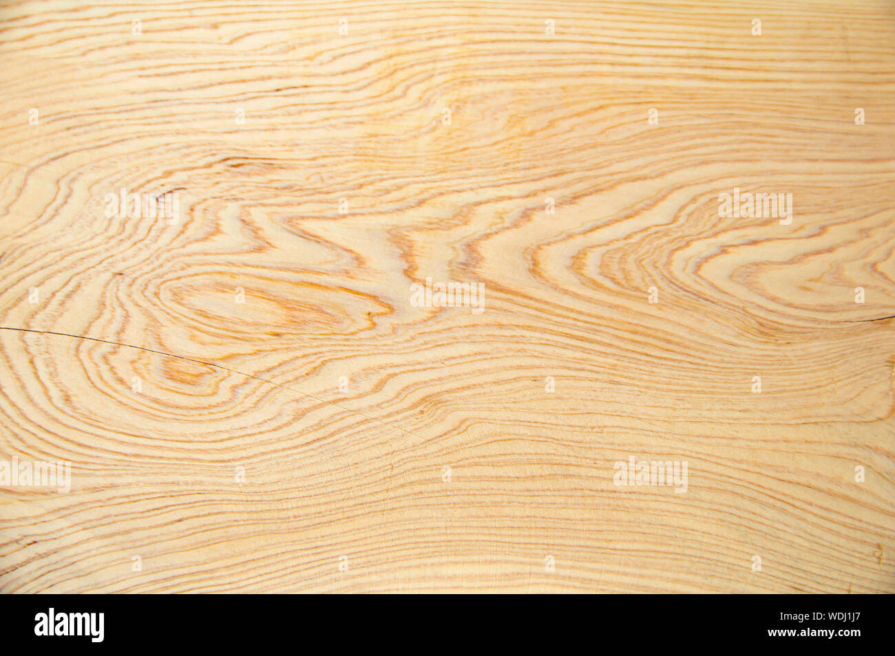 The texture of the longitudinal section of the tree. Background Stock ...