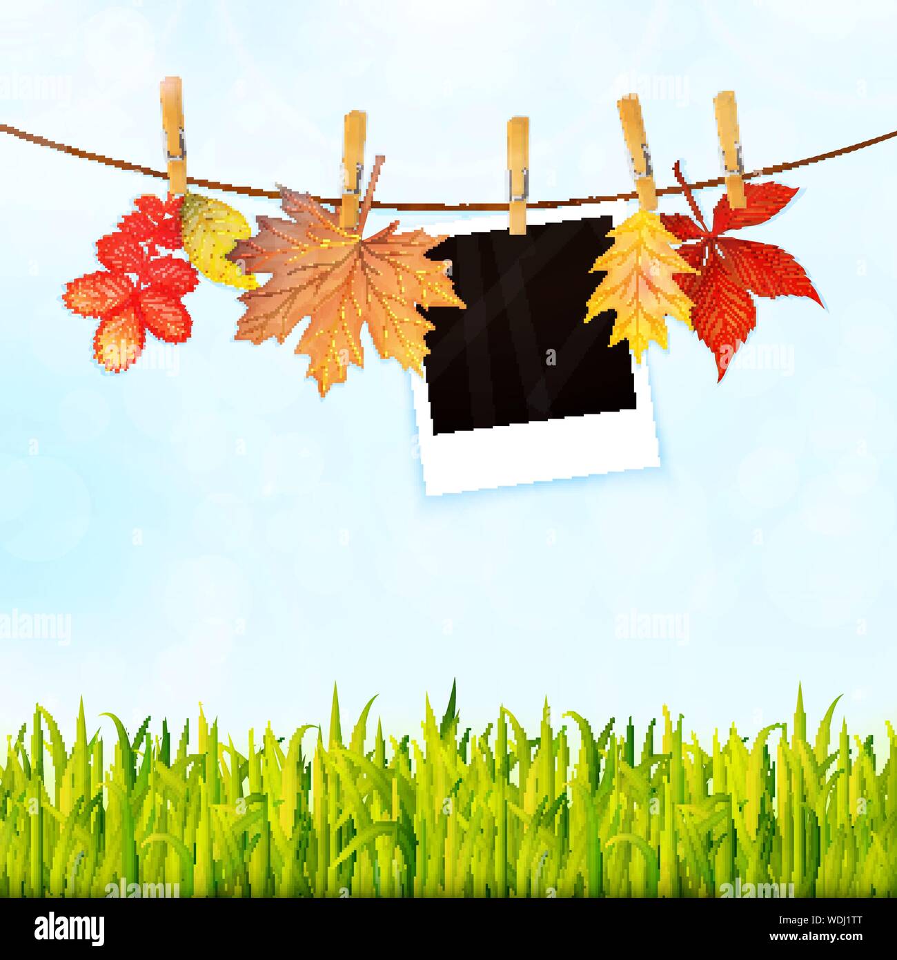Nature background with grass, photos on rope and autumn leaves vector ...