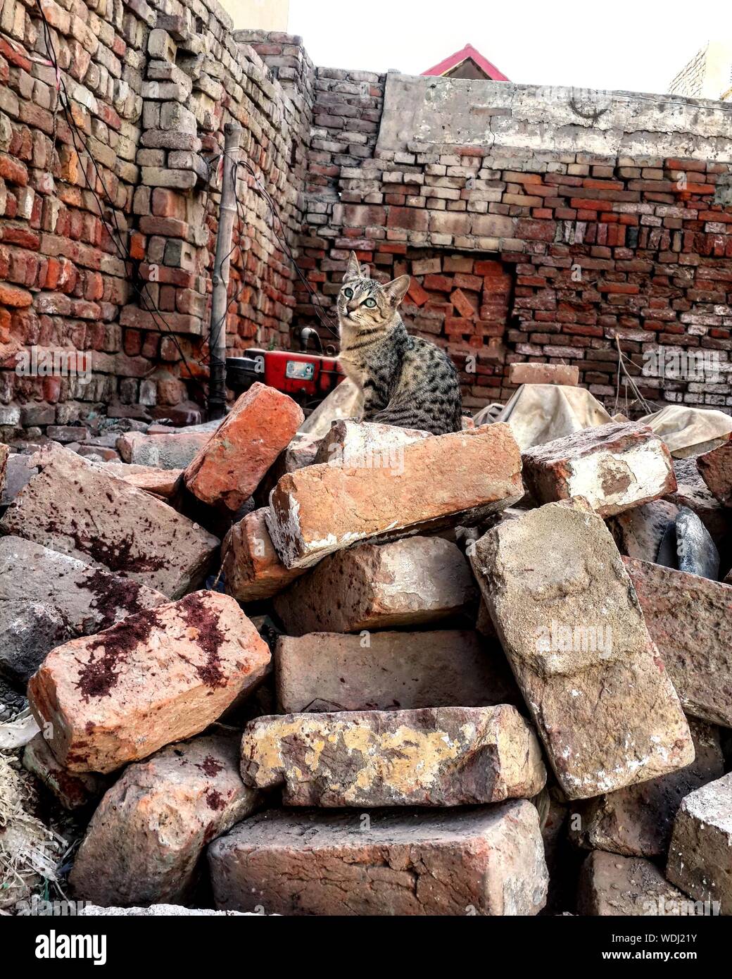 Pile of bricks hi-res stock photography and images - Alamy