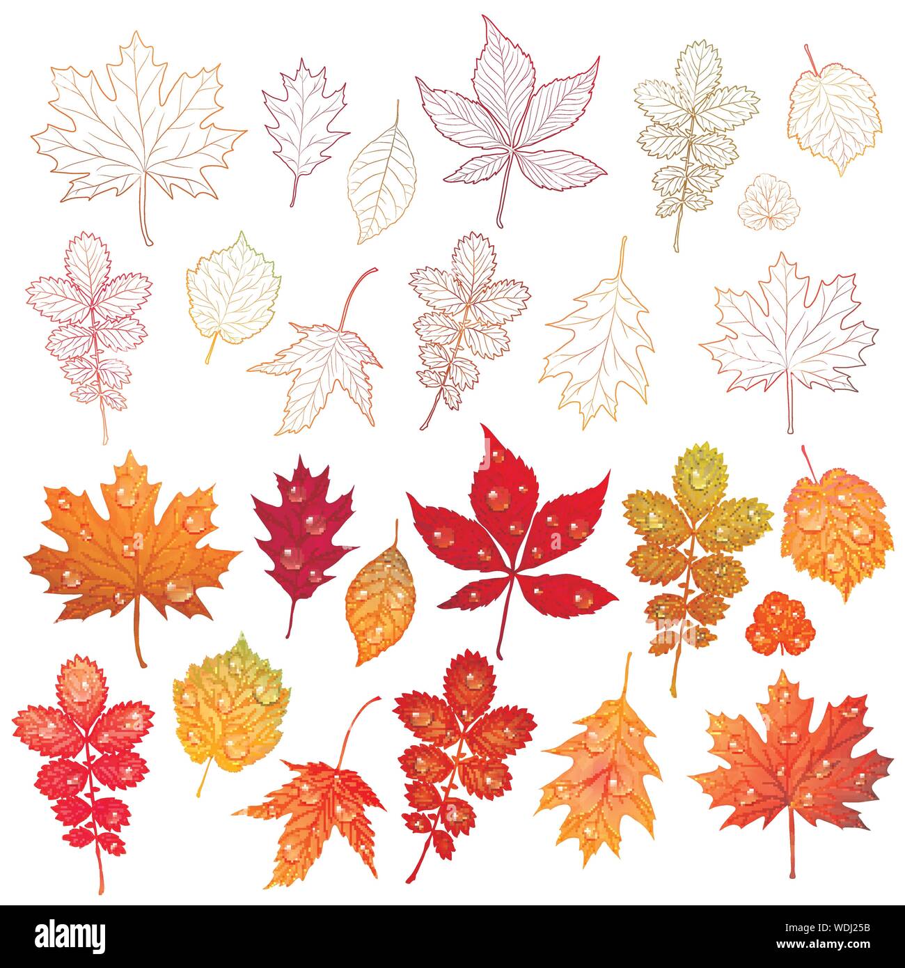 Set of colorful leaves vector Stock Vector Image & Art - Alamy