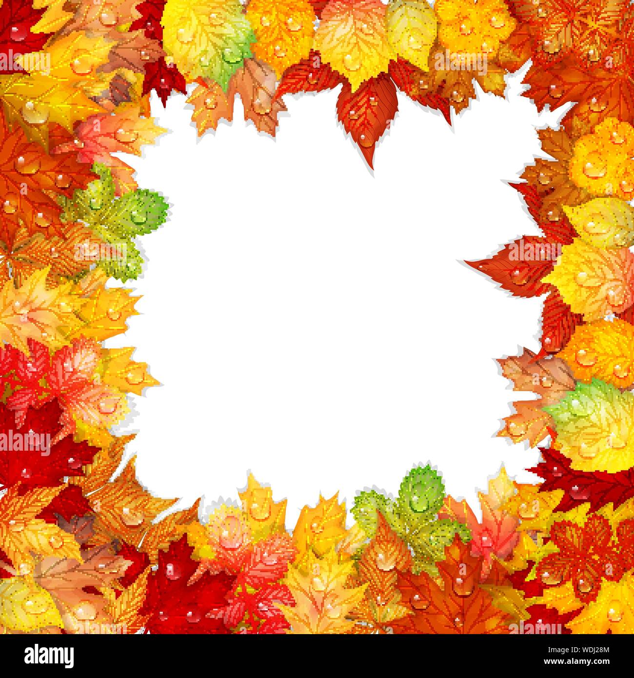 Maple leaves white frame Stock Vector Images - Alamy