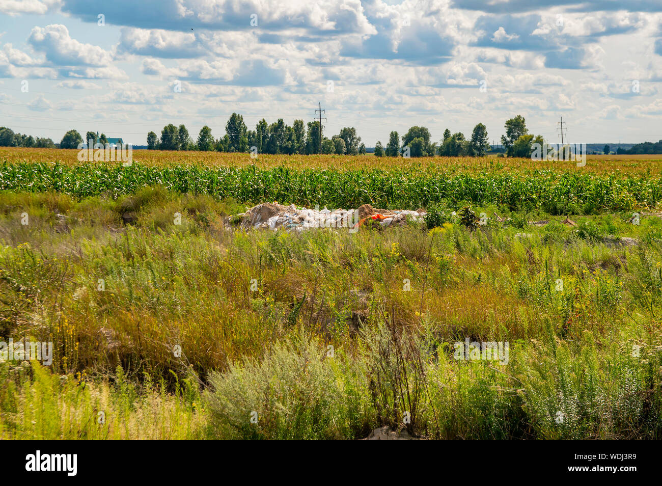 Garbage dump on nature - the environment. Background Stock Photo - Alamy