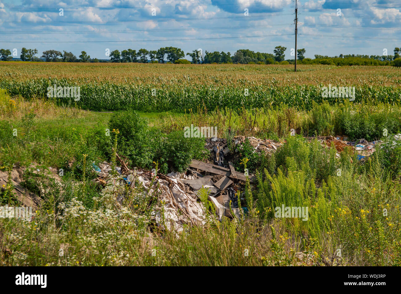 Garbage dump on nature - the environment. Background Stock Photo - Alamy