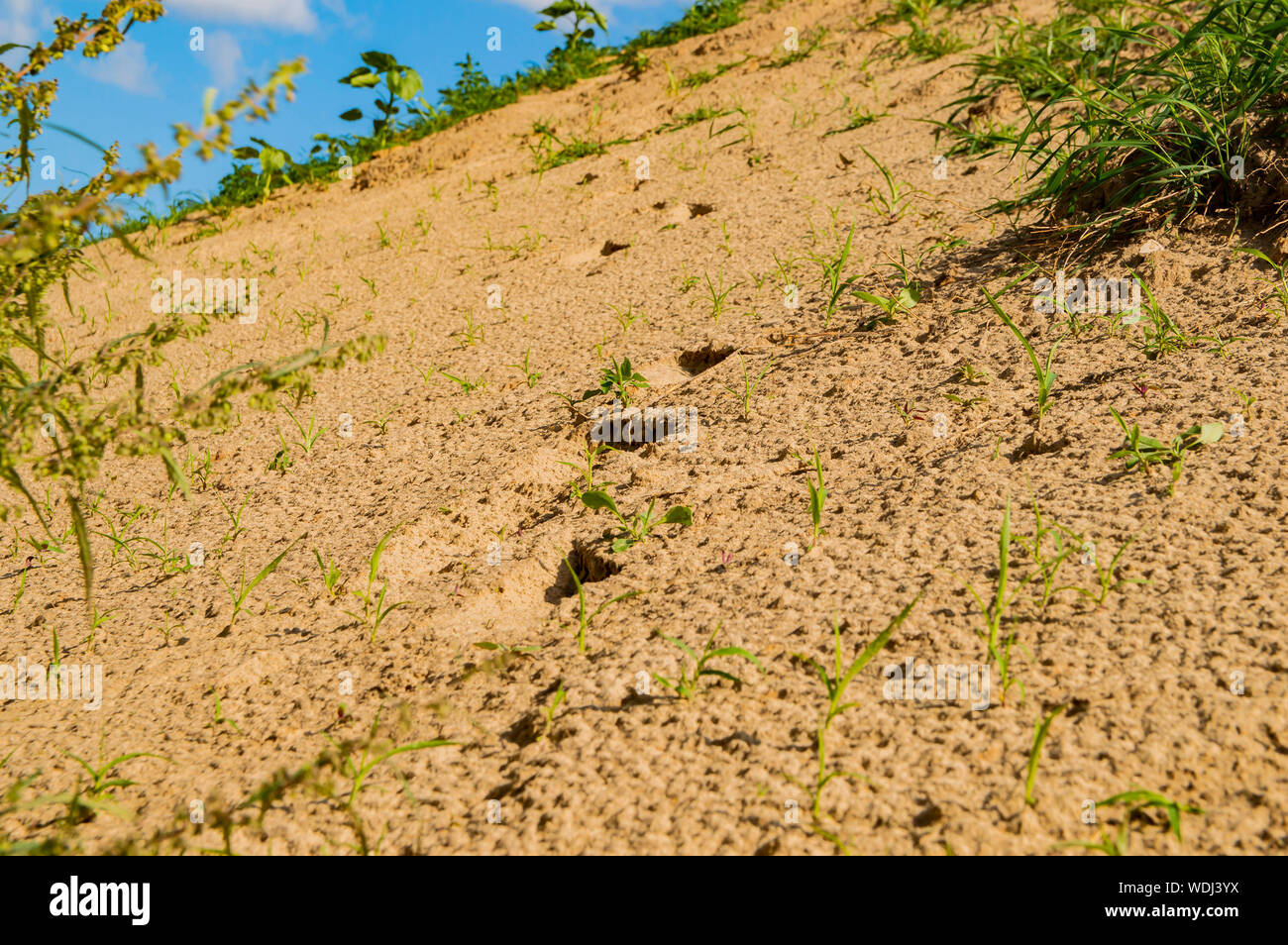Sandy mountain against the blue sky with clouds. Background Stock Photo ...