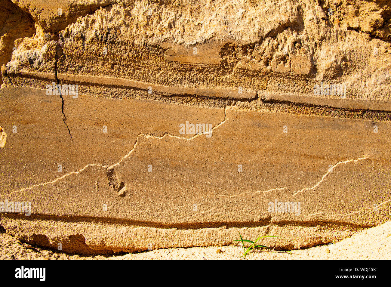 The texture of the sandy surface. Background Stock Photo - Alamy