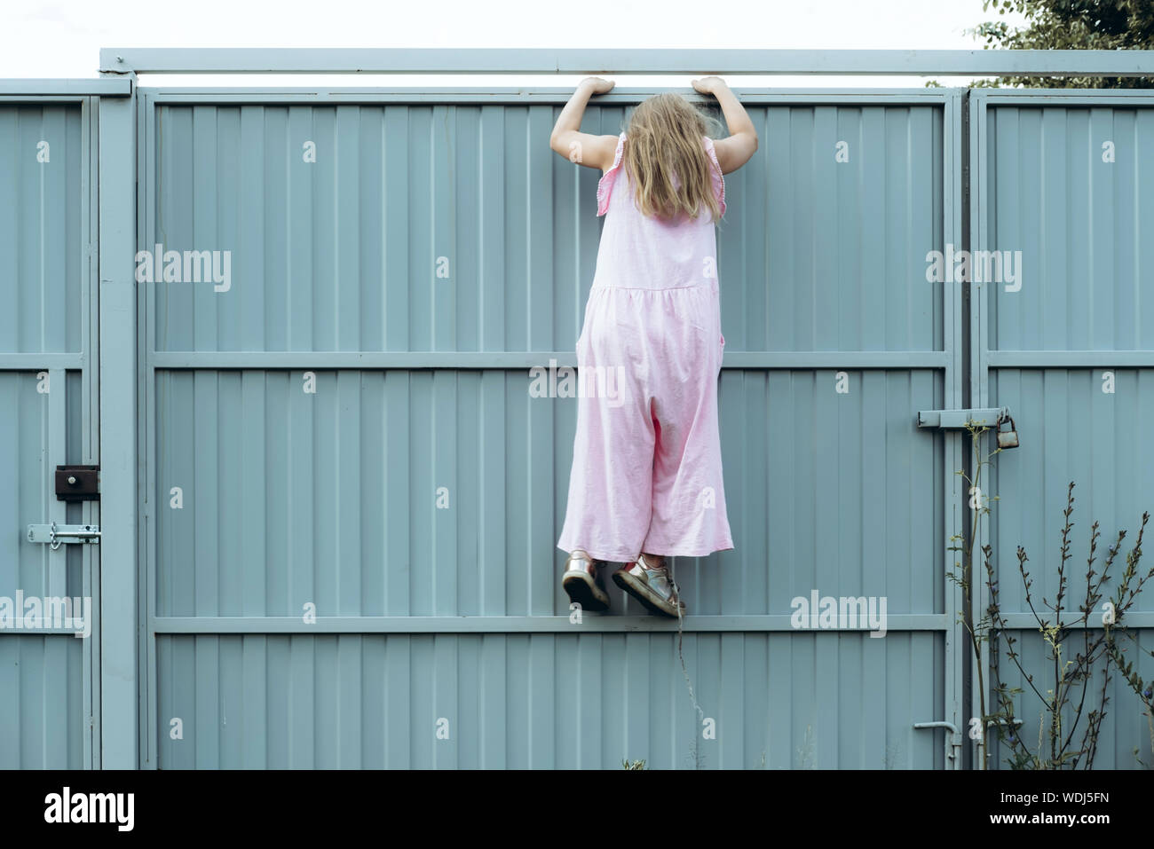 Girl climbing metal fence outdoor. Curious child on high white painted ...
