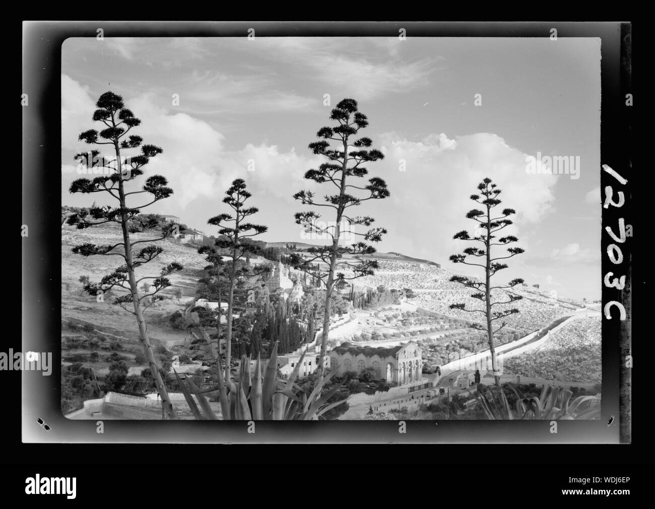 Gethsemane Abstract/medium: G. Eric and Edith Matson Photograph ...