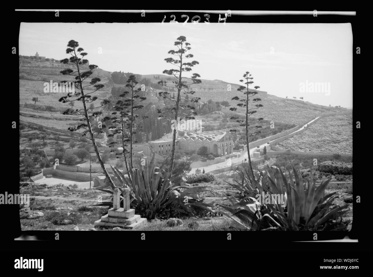 Gethsemane Abstract/medium: G. Eric and Edith Matson Photograph ...