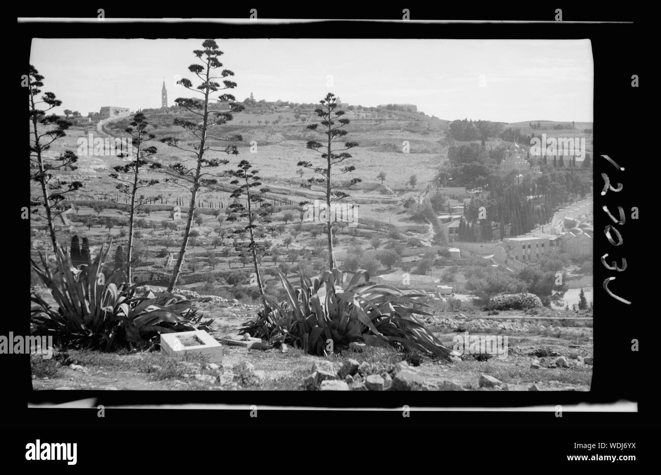Gethsemane Abstract/medium: G. Eric and Edith Matson Photograph ...