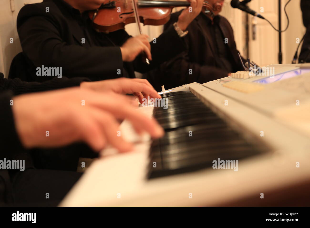 Playing string instruments hi-res stock photography and images - Alamy