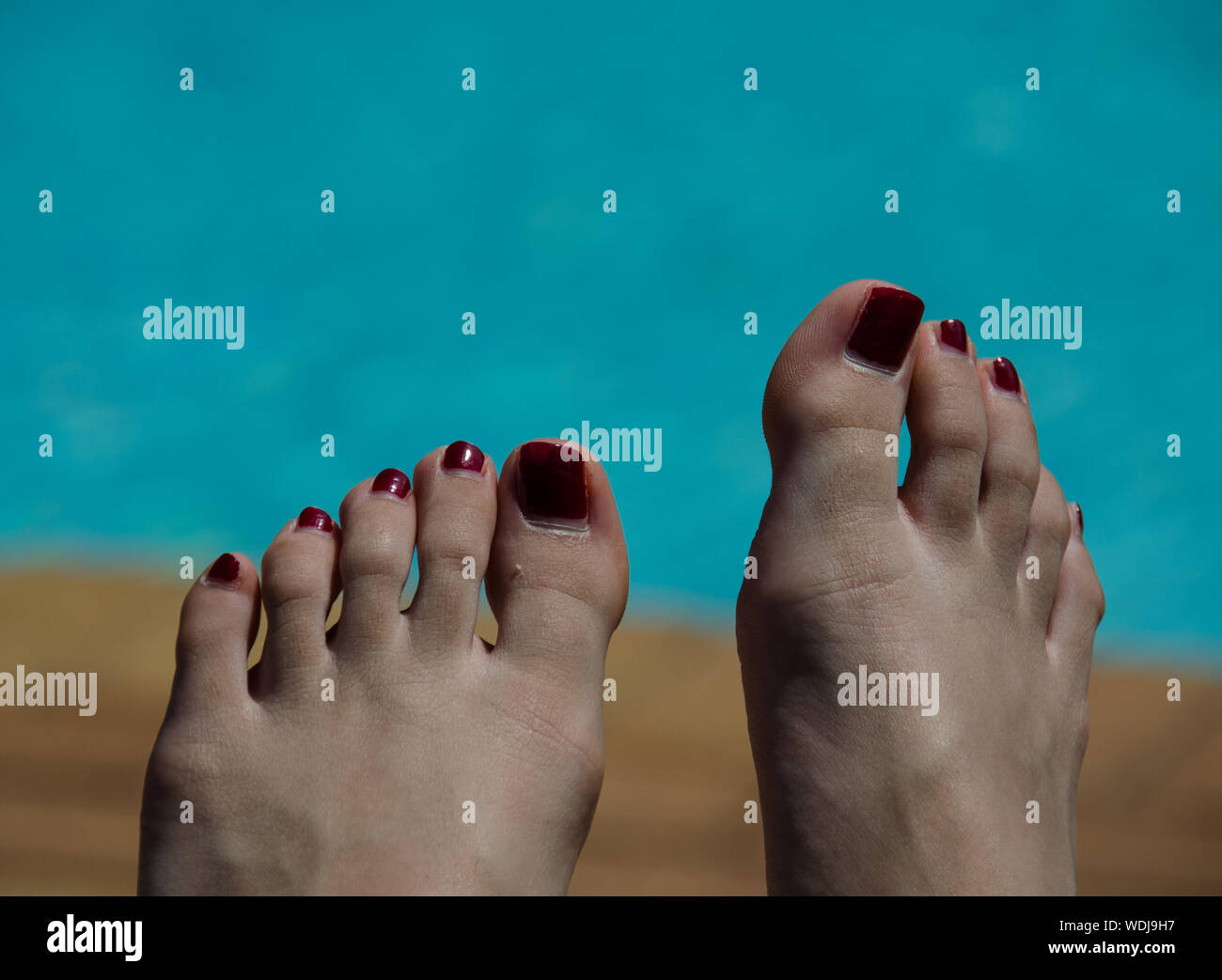 Close up toes hi-res stock photography and images - Alamy