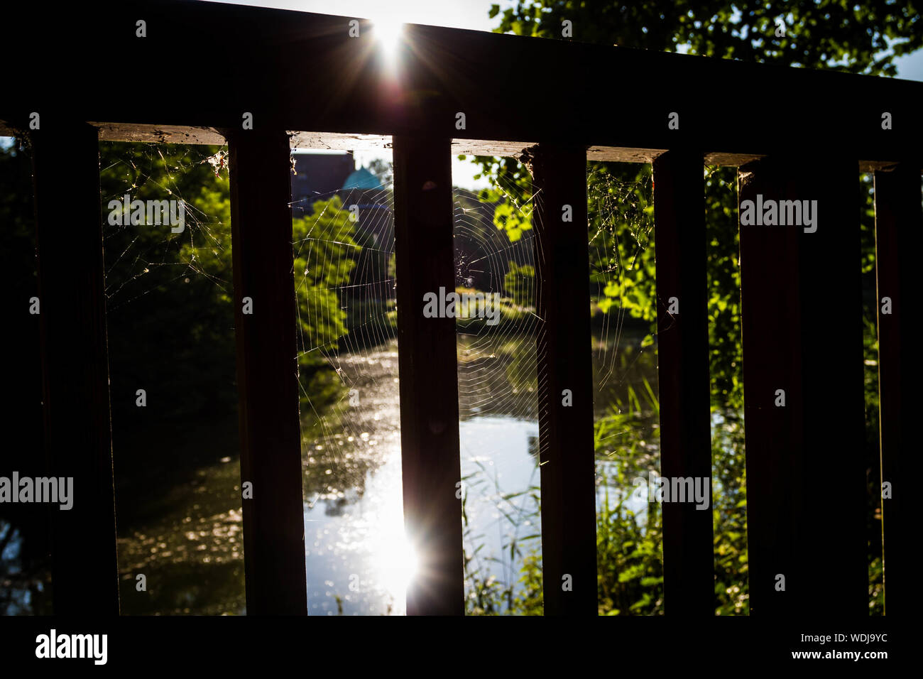 The spider web bridge hi-res stock photography and images - Alamy