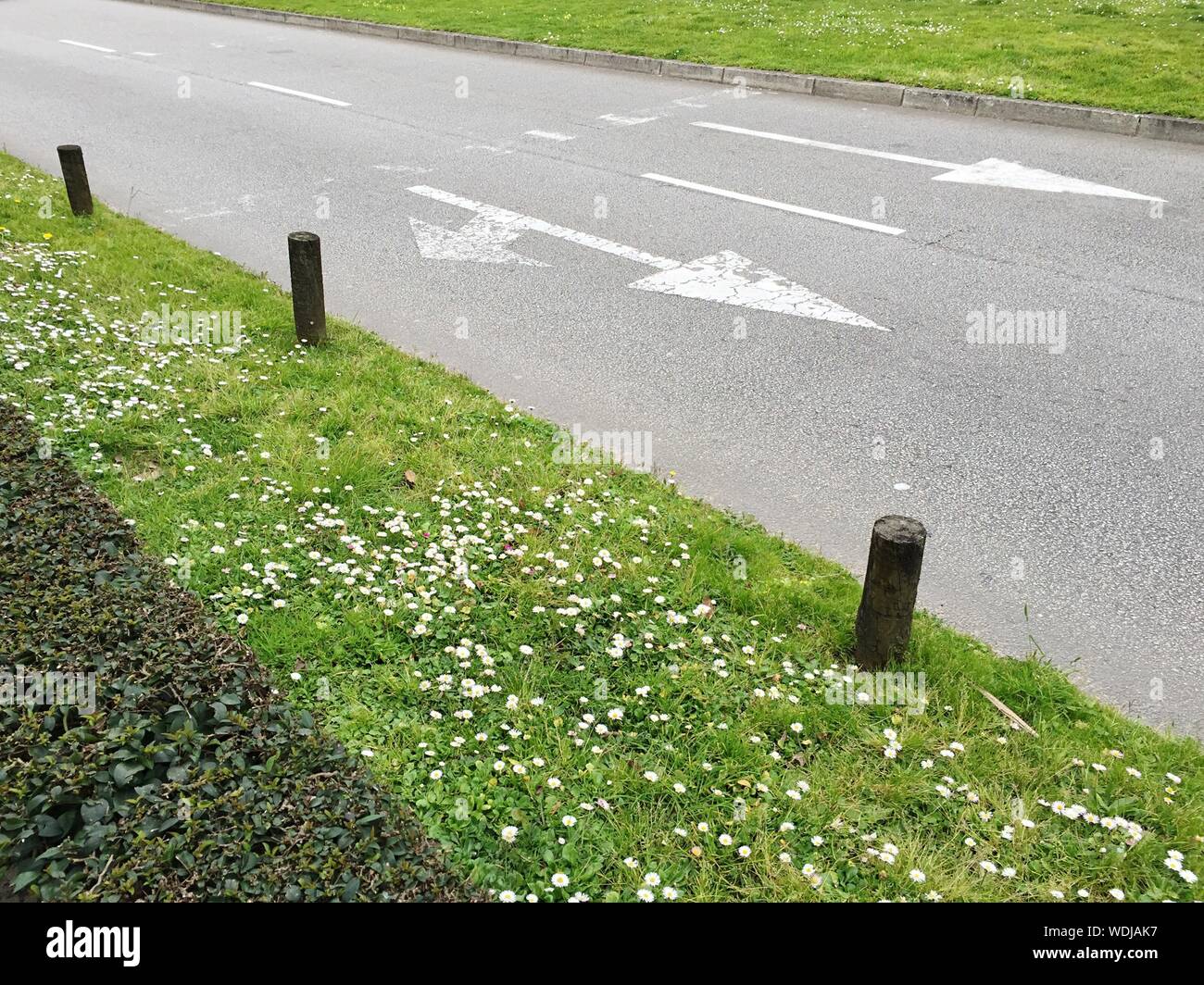 Directional road markings hi-res stock photography and images - Alamy
