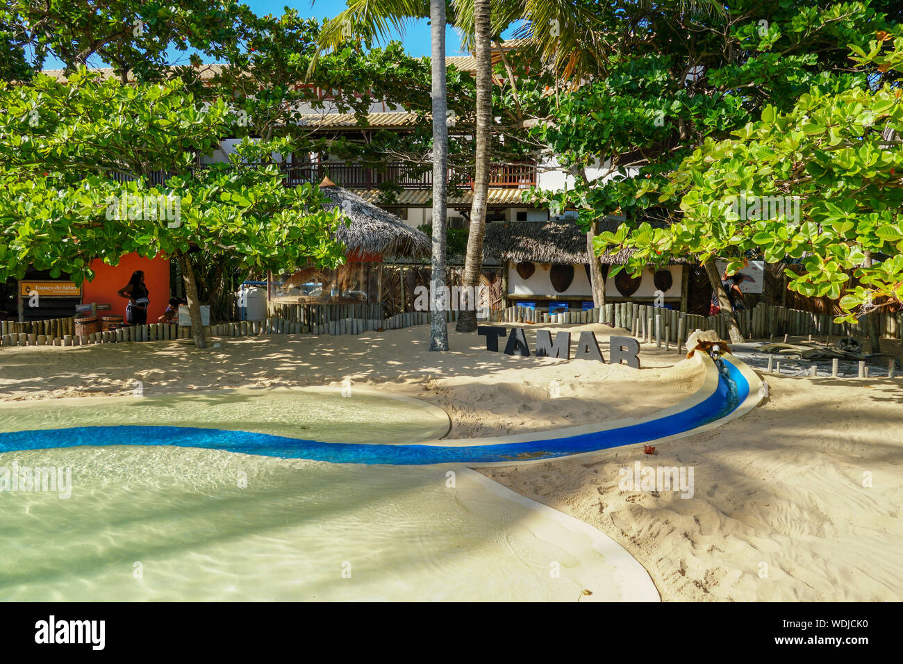 The Project Tamar, non-profit organization to protect sea turtles from ...