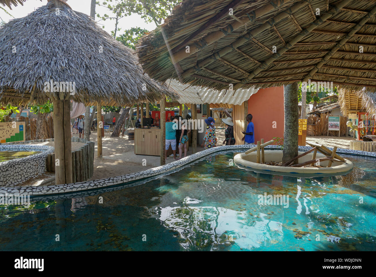 The Project Tamar, non-profit organization to protect sea turtles from ...