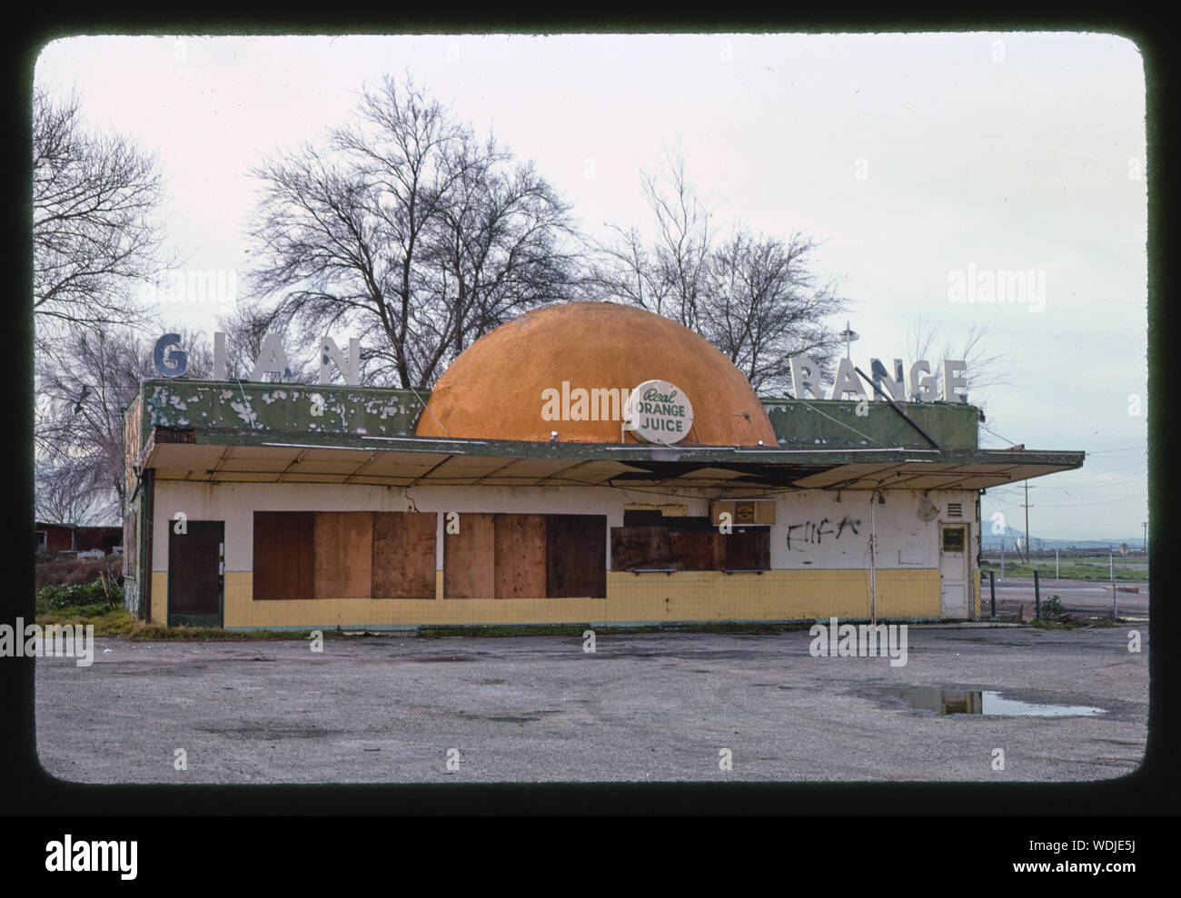 Banta hi-res stock photography and images - Alamy