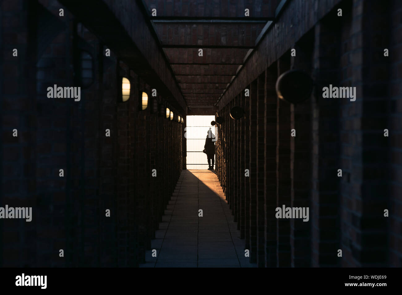 Rear end view hi-res stock photography and images - Alamy