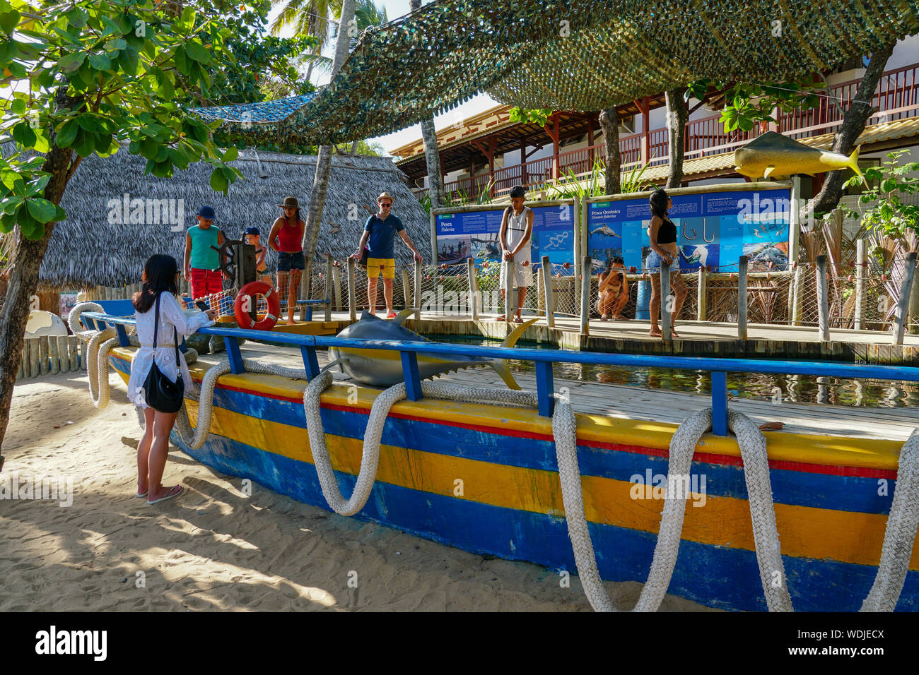Tourists observing turtles in big tank at The Project Tamar, Praia do ...