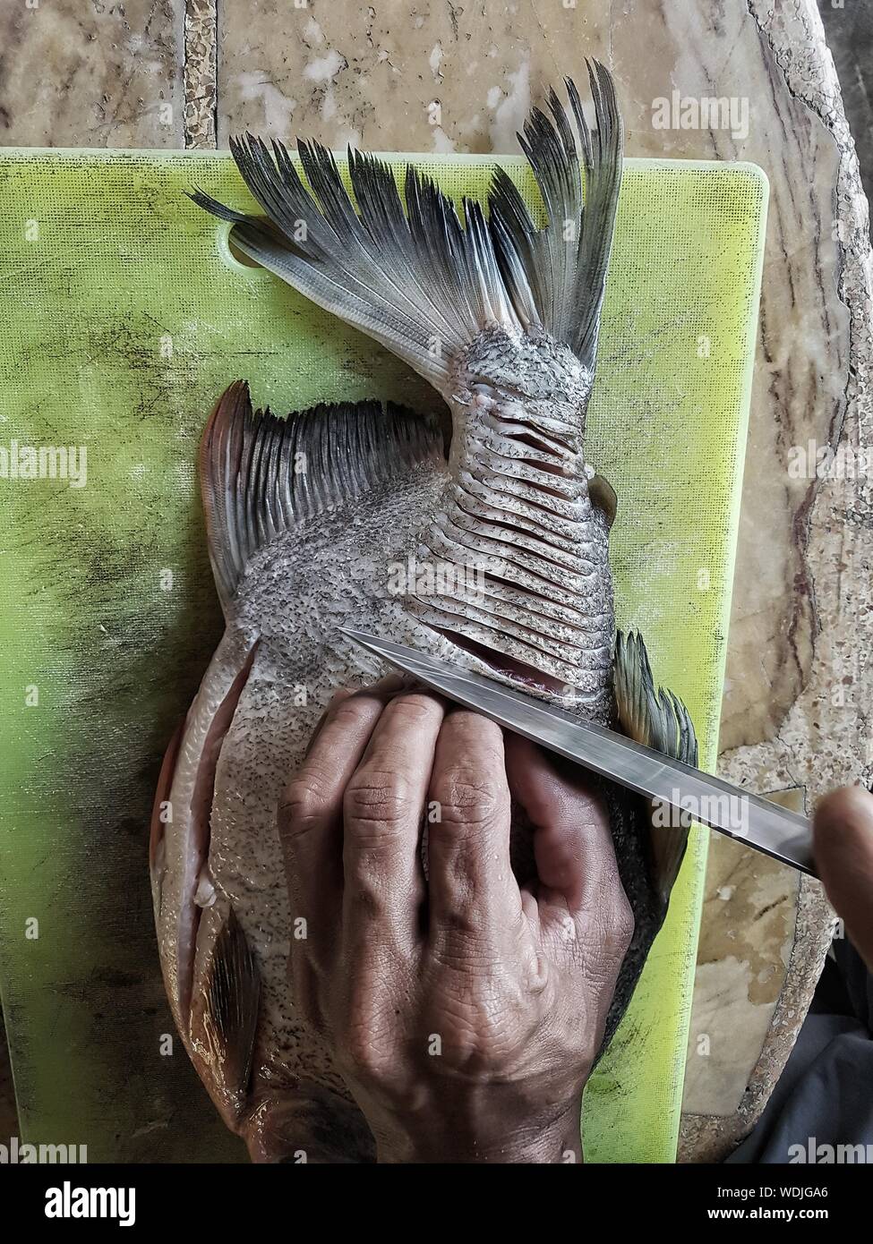 Human fish hi-res stock photography and images - Alamy