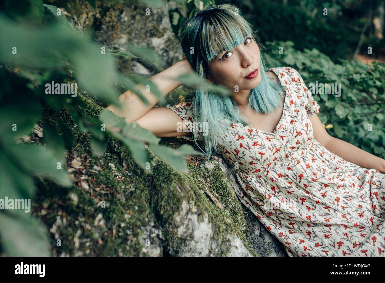 Young woman lying on tree High Resolution Stock Photography and Images ...
