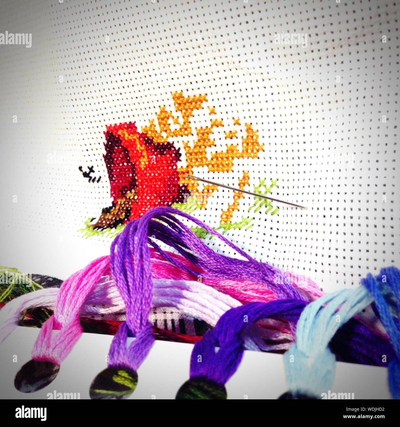 Embroidery stitch close up hi-res stock photography and images - Alamy