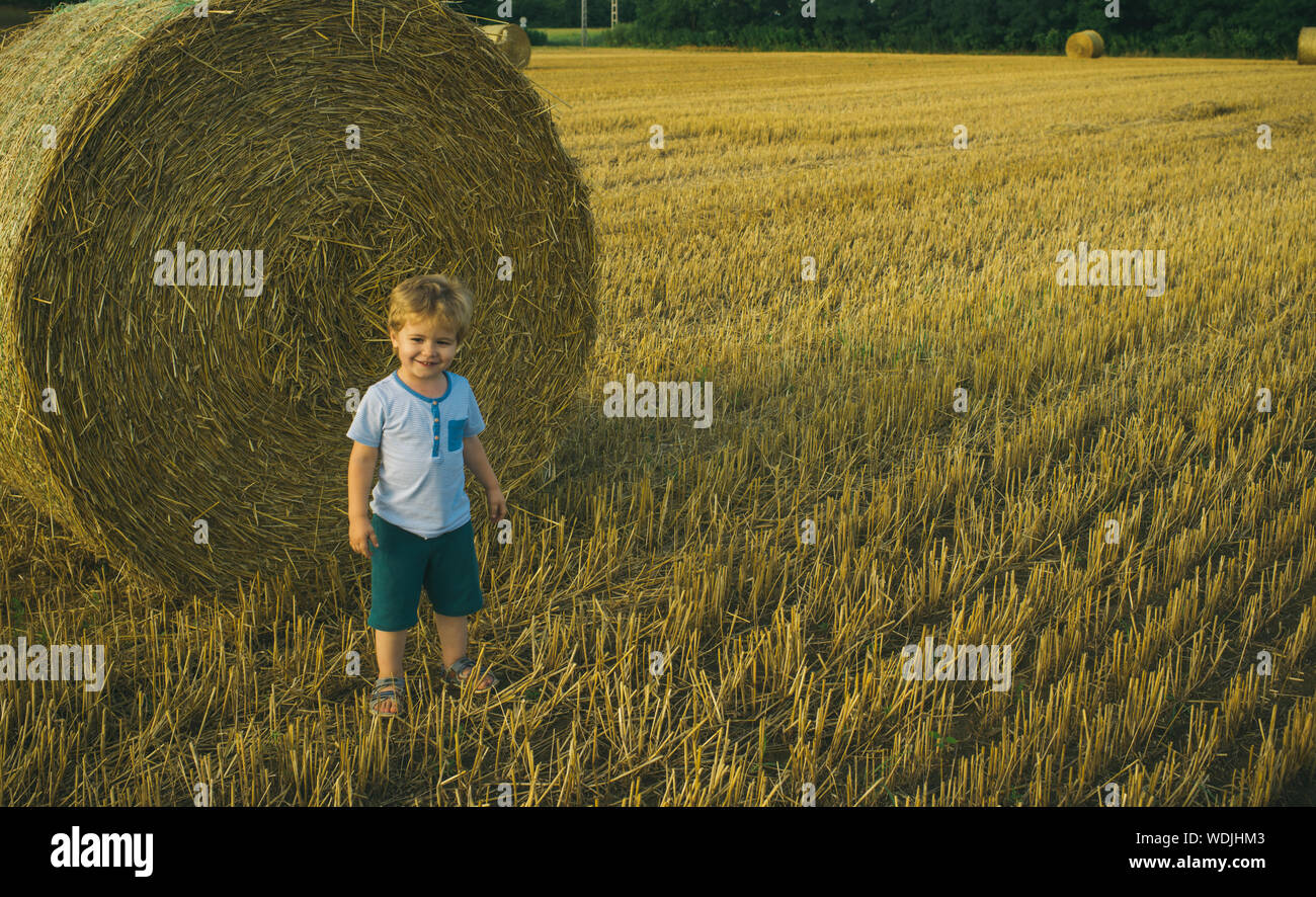 Cute little kid boy in wheat field. Child with hay bale. Preschool boy ...