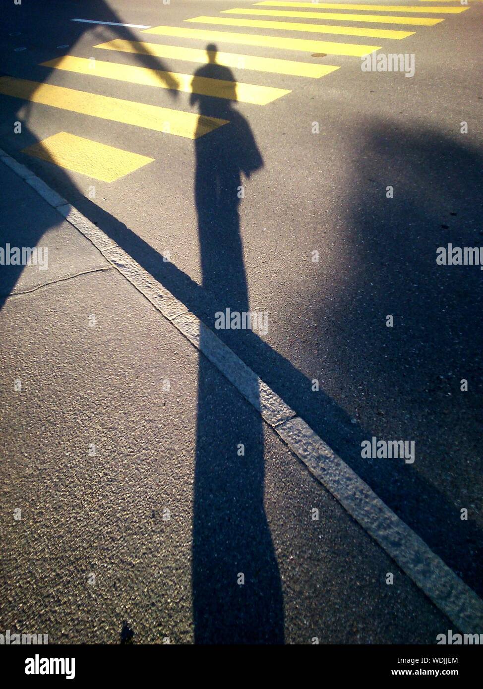 Man crossing zebra on hi-res stock photography and images - Alamy