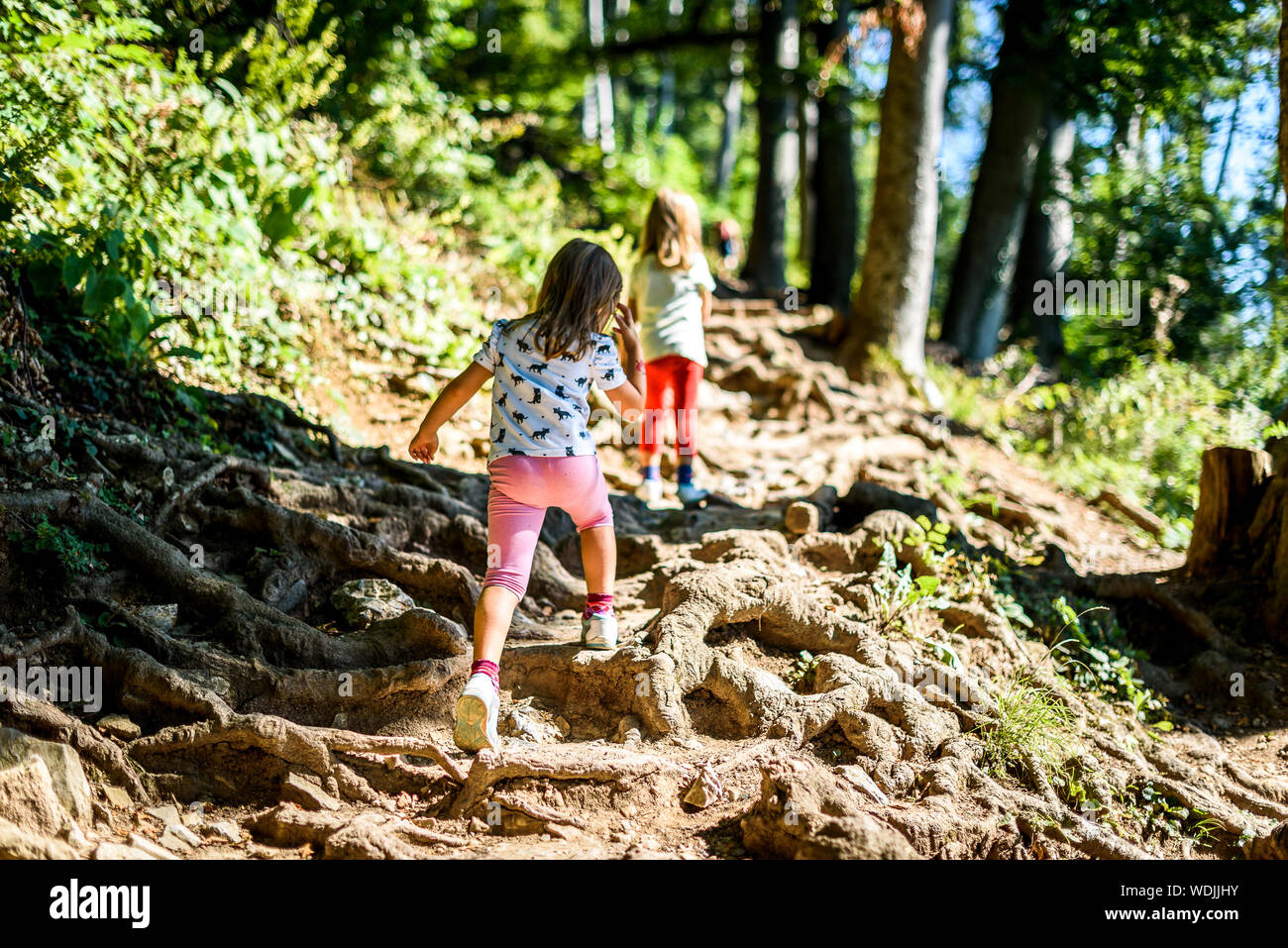 Full Length Of Girls Playing In Forest Stock Photo - Alamy